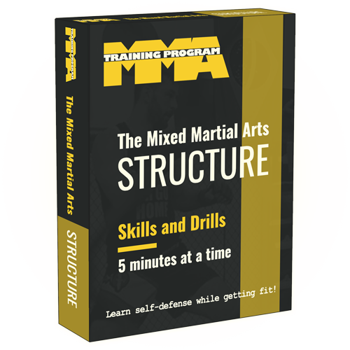 The Mixed Martial Arts Structure | MMA Training Program