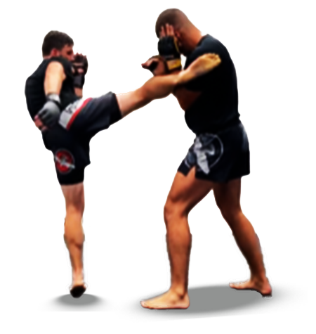 Martial-Arts-Fighter-Kick | MMA Training Program